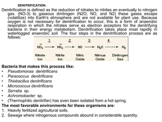 Lab.11 methods for estimating denitrification process | PDF