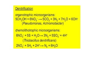 Denitrification Equation