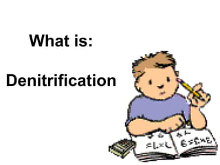 Denitrification Definition