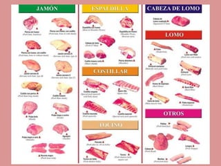 Tipos De Carnes Rojas