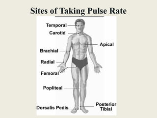 Fundamental of Nursing 4. : Vital Signs | PPT
