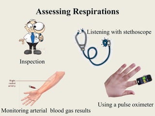 Taking Vital Signs In Nursing
