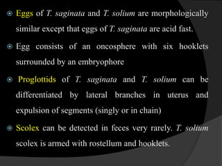 Laboratory diagnosis of Taenia species | PPSX