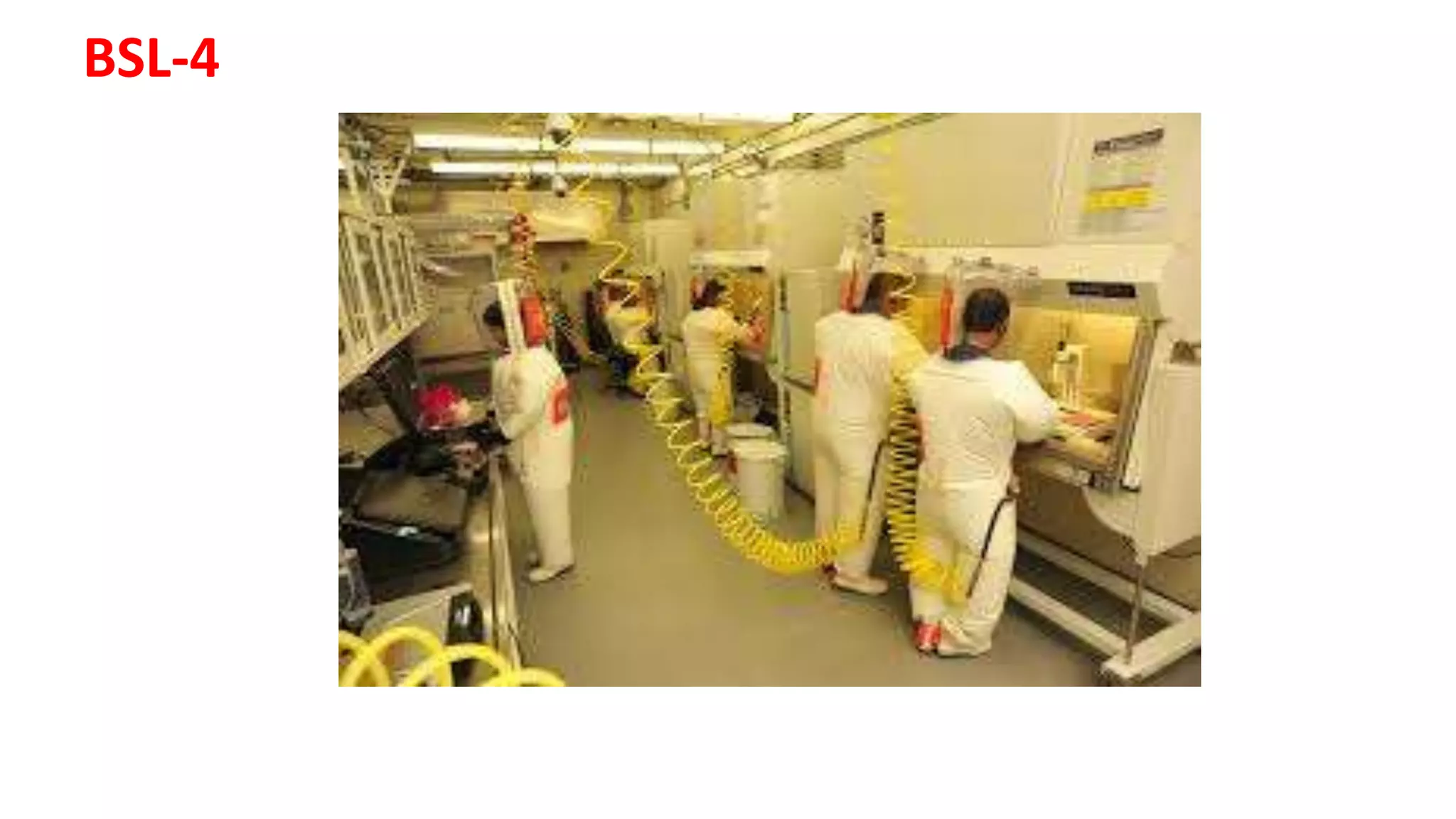 Biosafty, containment and biosafty levels | PPTX