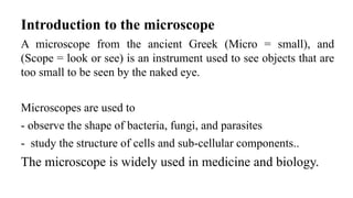 LAB-2 of hshaiiananaiaihana maiuhvwbj.pdf