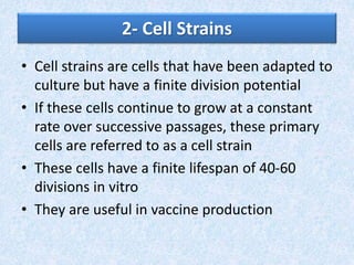 Cultivation Of Viruses | PPTX