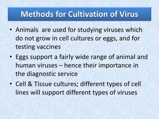 Cultivation Of Viruses | PPTX