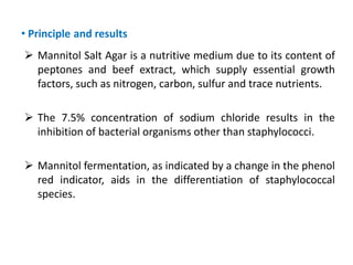 Lab. 2 Staphylococcus.ppt