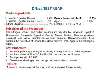 Lab. 2 Staphylococcus.ppt