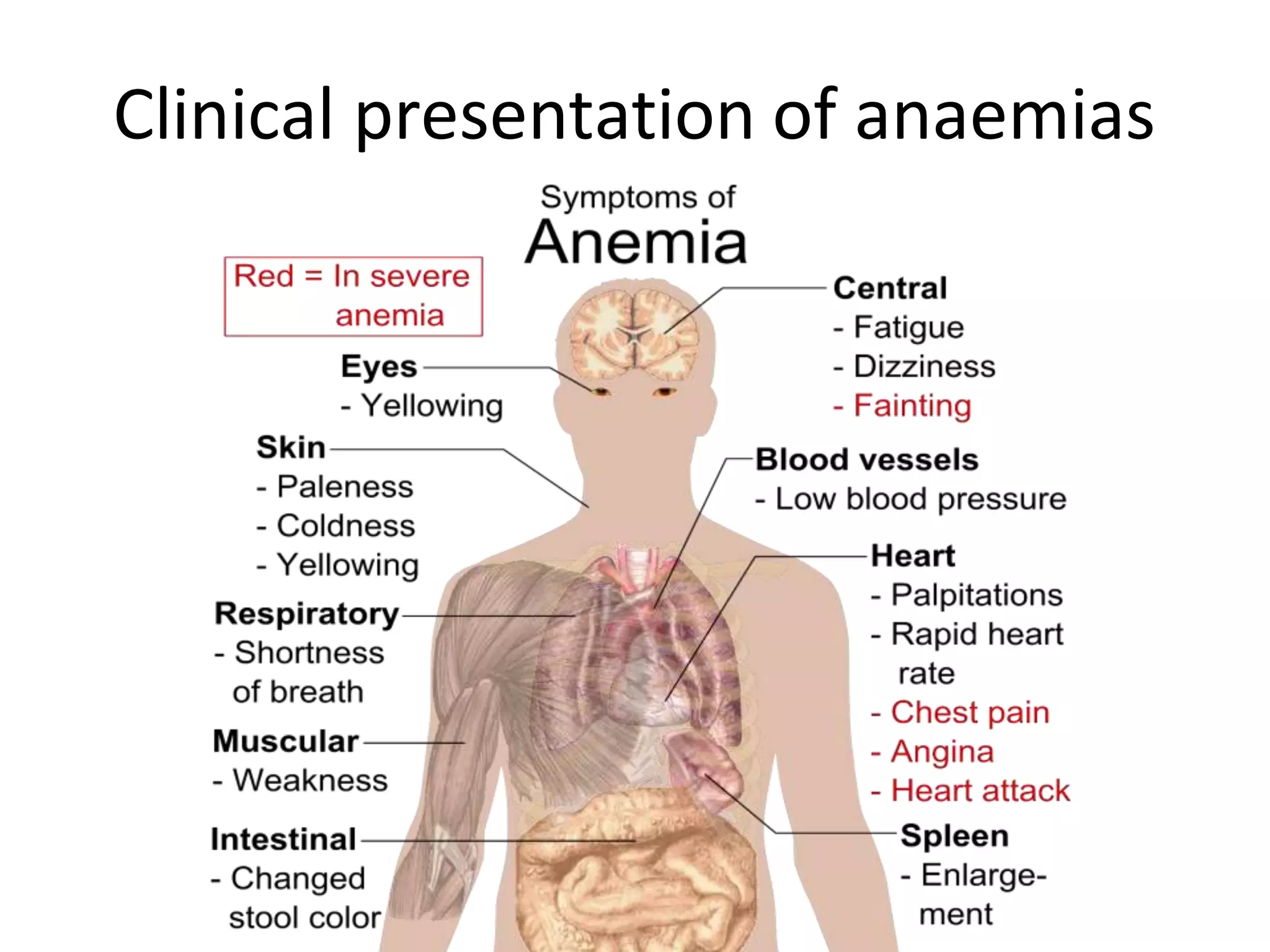 Lab. Diagnosis of Anemia.pptx