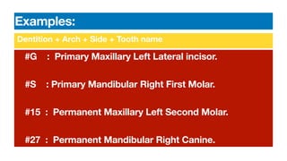 Lab.2. A.pdf