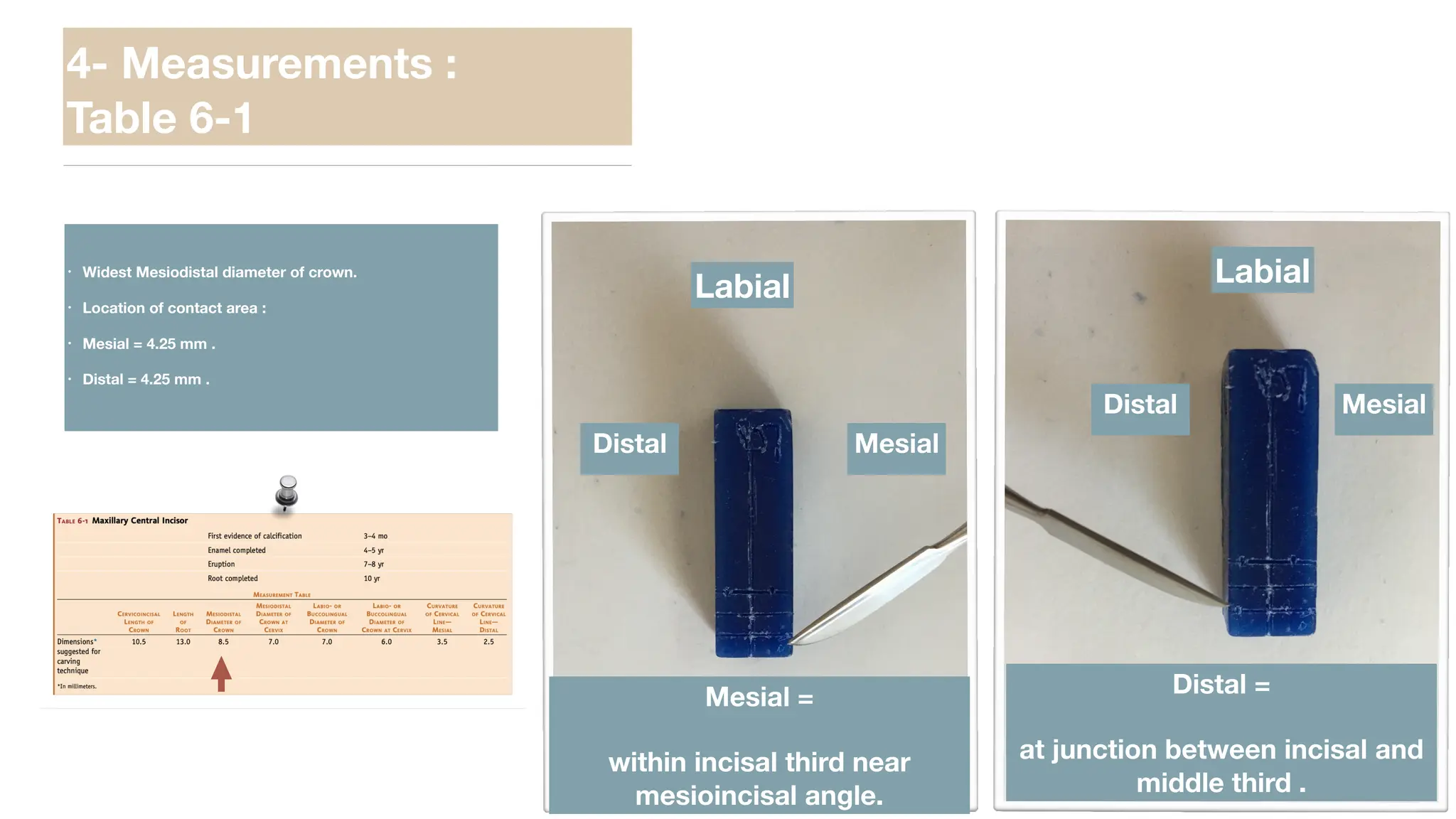Lab.3. U 1 🦷.pdf