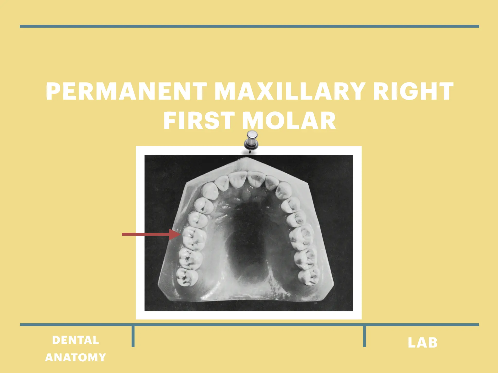 Lab.6. Pre Demo U6.pdf