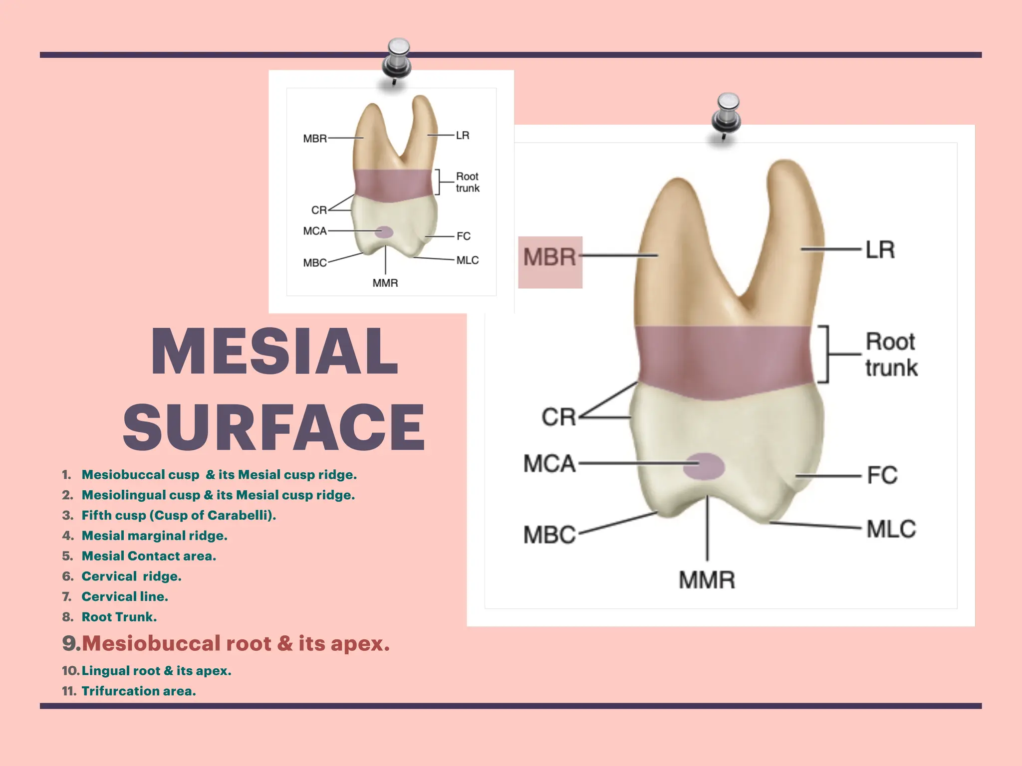 Lab.6. Pre Demo U6.pdf