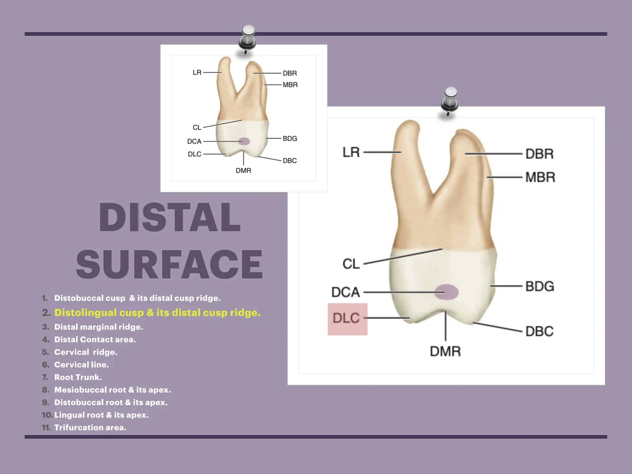 Lab.6. Pre Demo U6.pdf