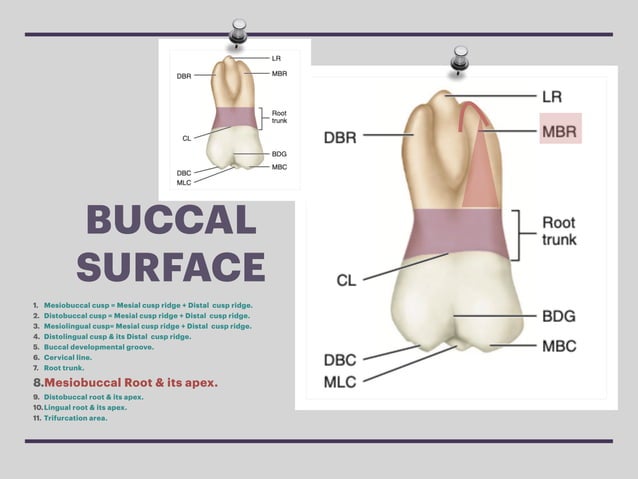 Lab.6. Pre Demo U6.pdf