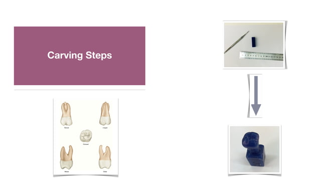 Lab.6. U 6 🦷.pdf | Dental Health | Diseases and Conditions