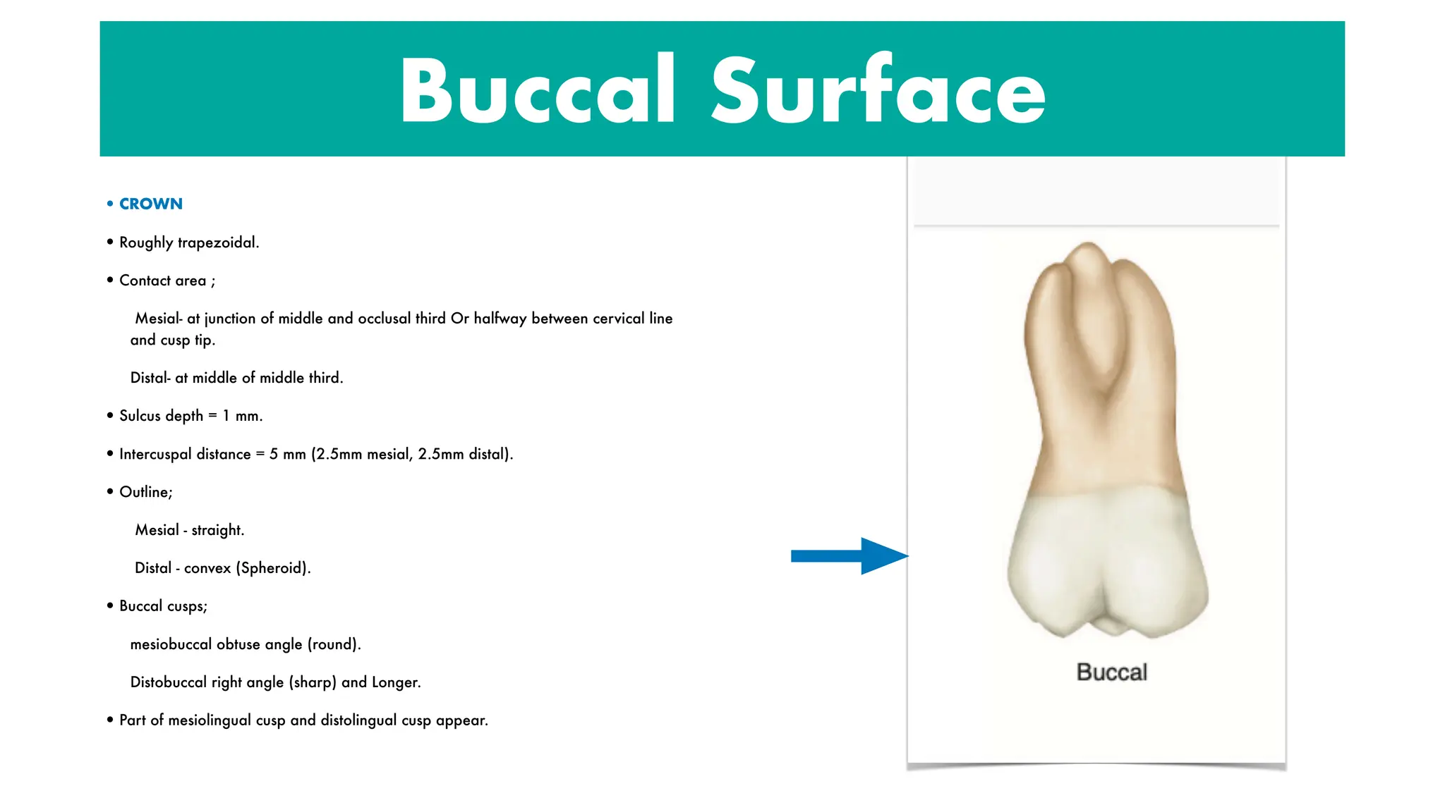 Lab.6. Summary U6.pdf