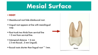Lab.6. Summary U6.pdf