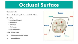 Lab.6. Summary U6.pdf