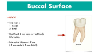 Lab.7. Summary L6.pdf