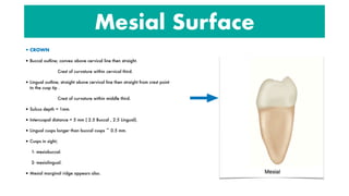 Lab.7. Summary L6.pdf