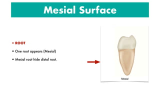 Lab.7. Summary L6.pdf