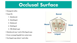 Lab.7. Summary L6.pdf