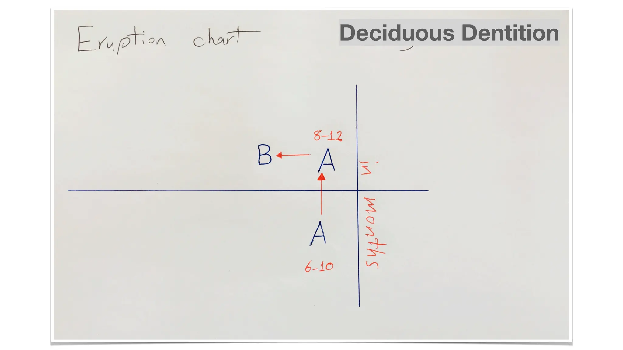 Lab.8. A. Eruption Chart Deciduous.pdf