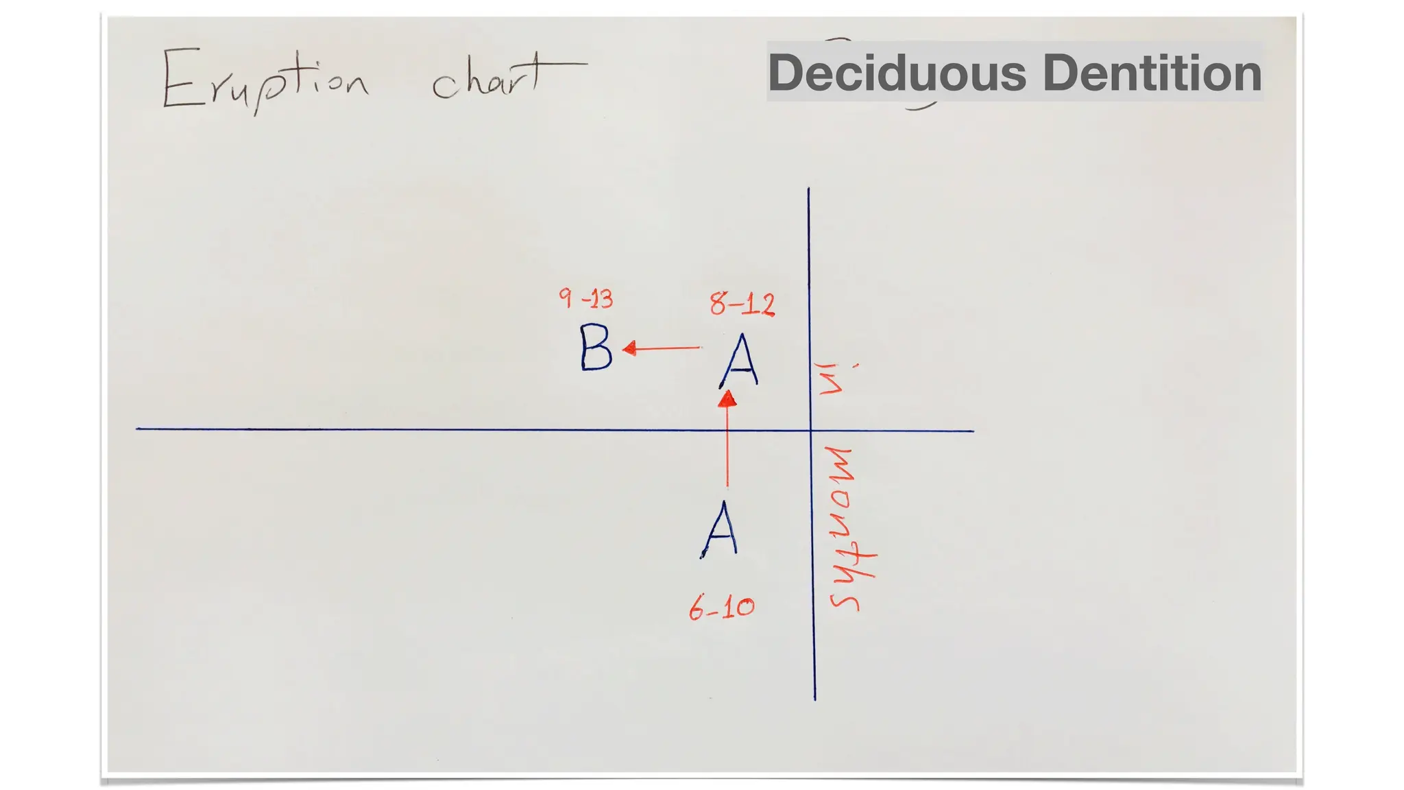 Lab.8. A. Eruption Chart Deciduous.pdf