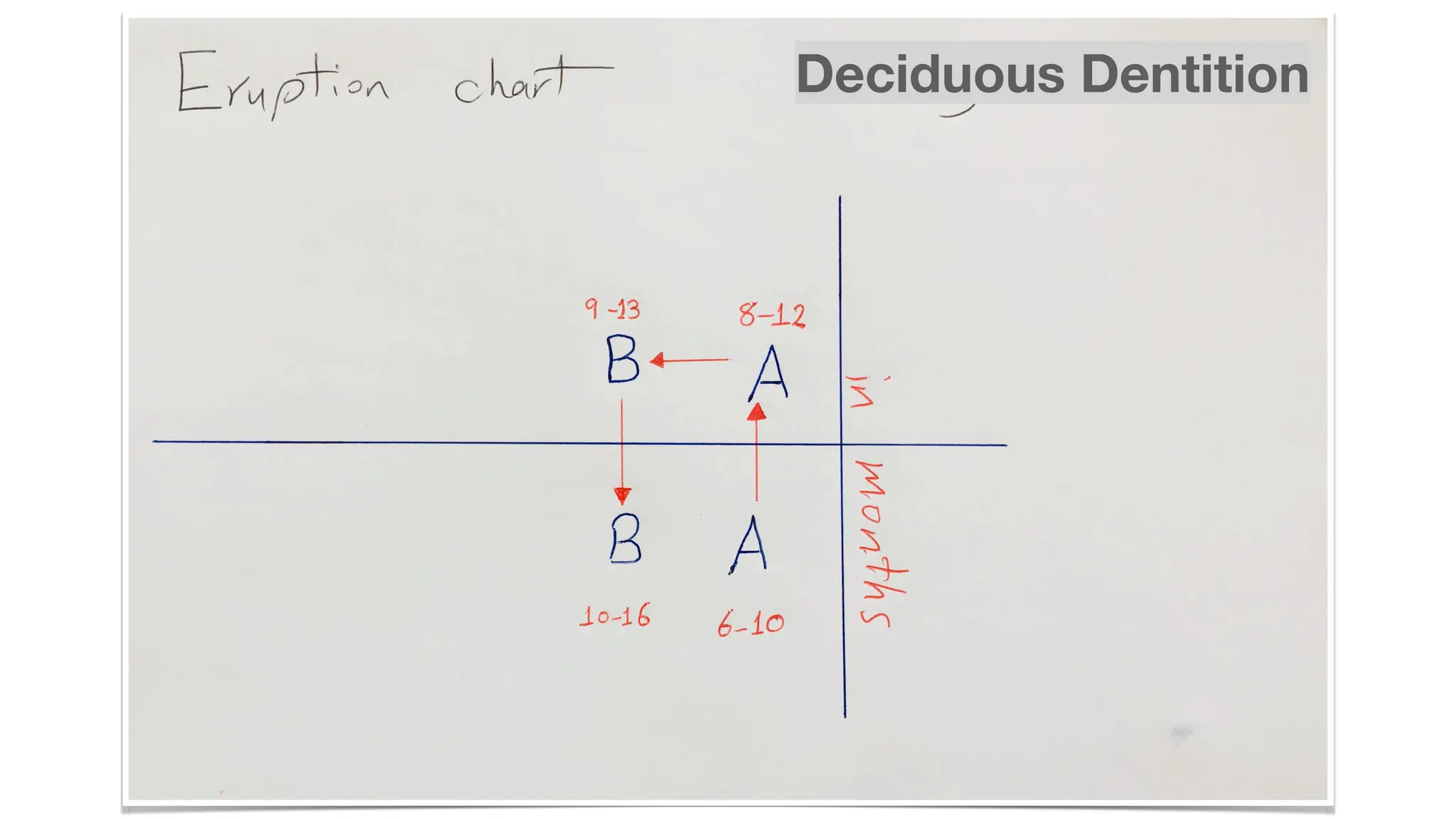 Lab.8. A. Eruption Chart Deciduous.pdf