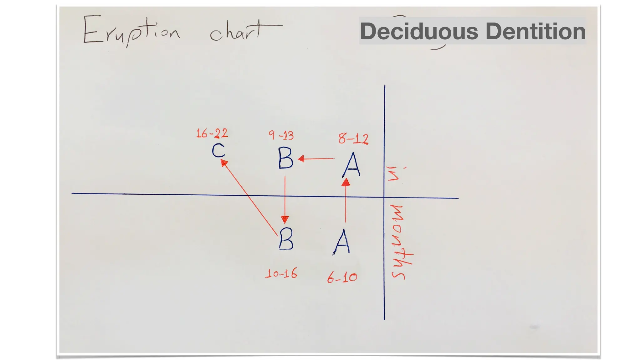 Lab.8. A. Eruption Chart Deciduous.pdf