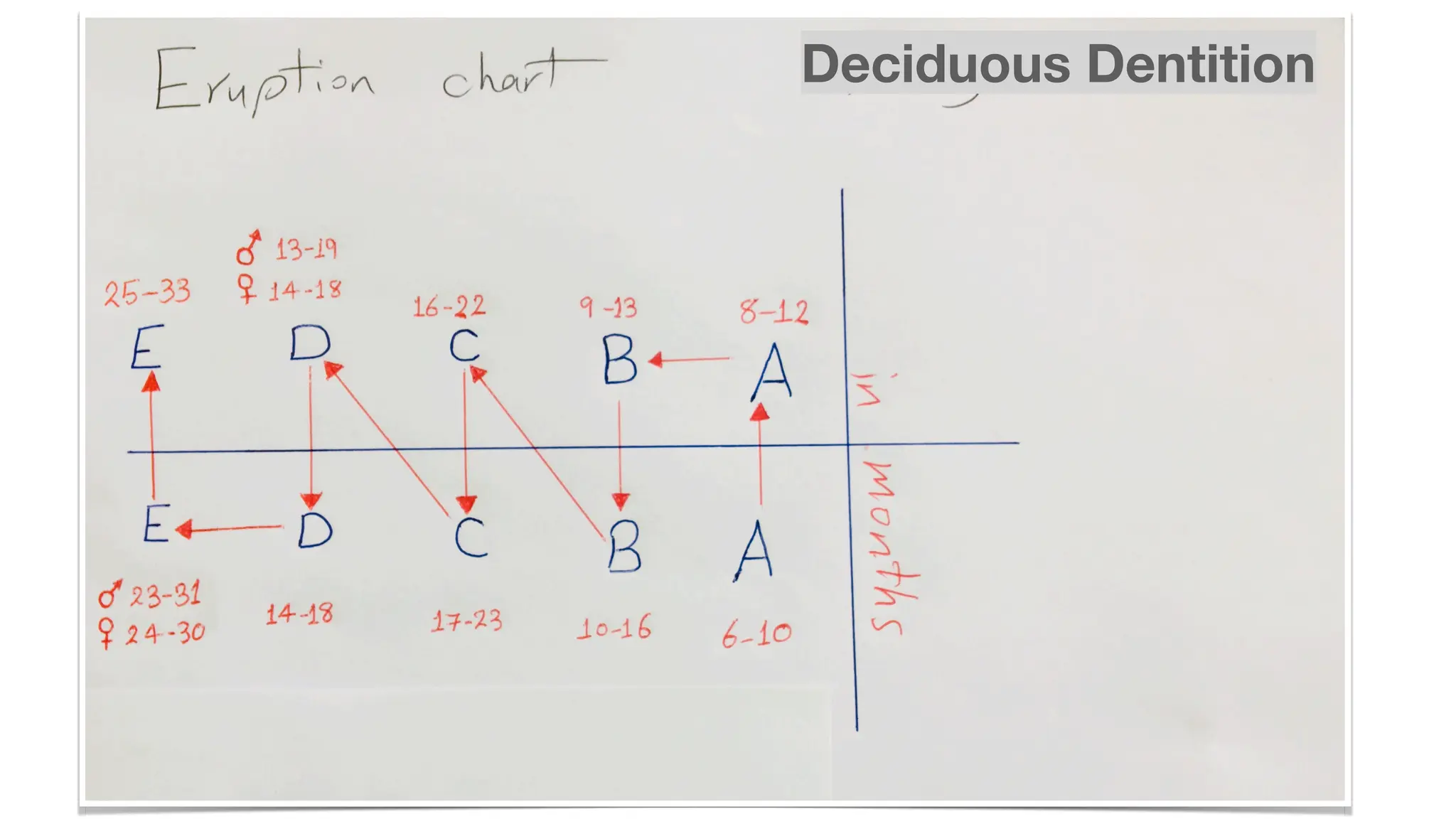 Lab.8. A. Eruption Chart Deciduous.pdf