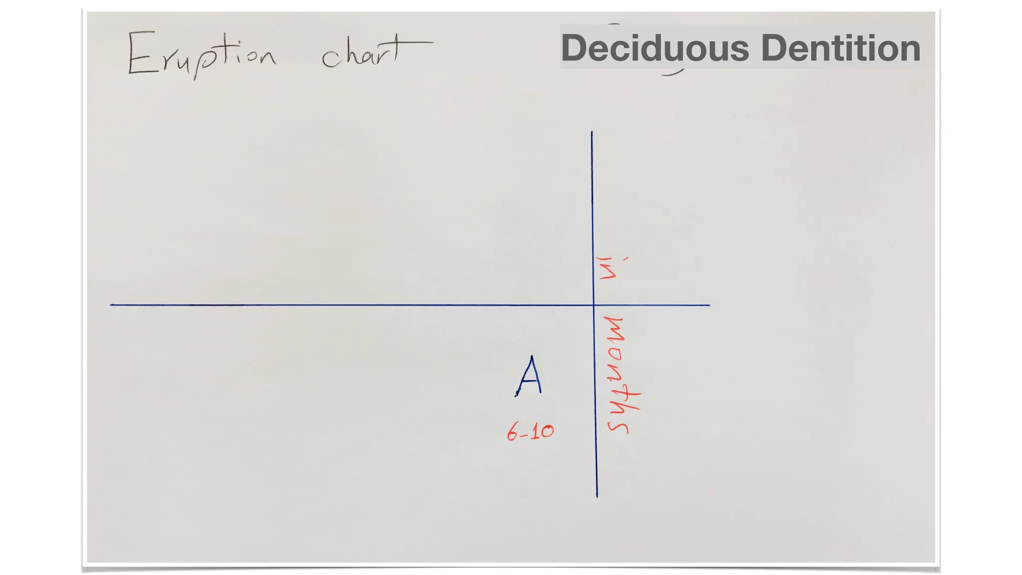 Lab.8. A. Eruption Chart Deciduous.pdf | Free Download