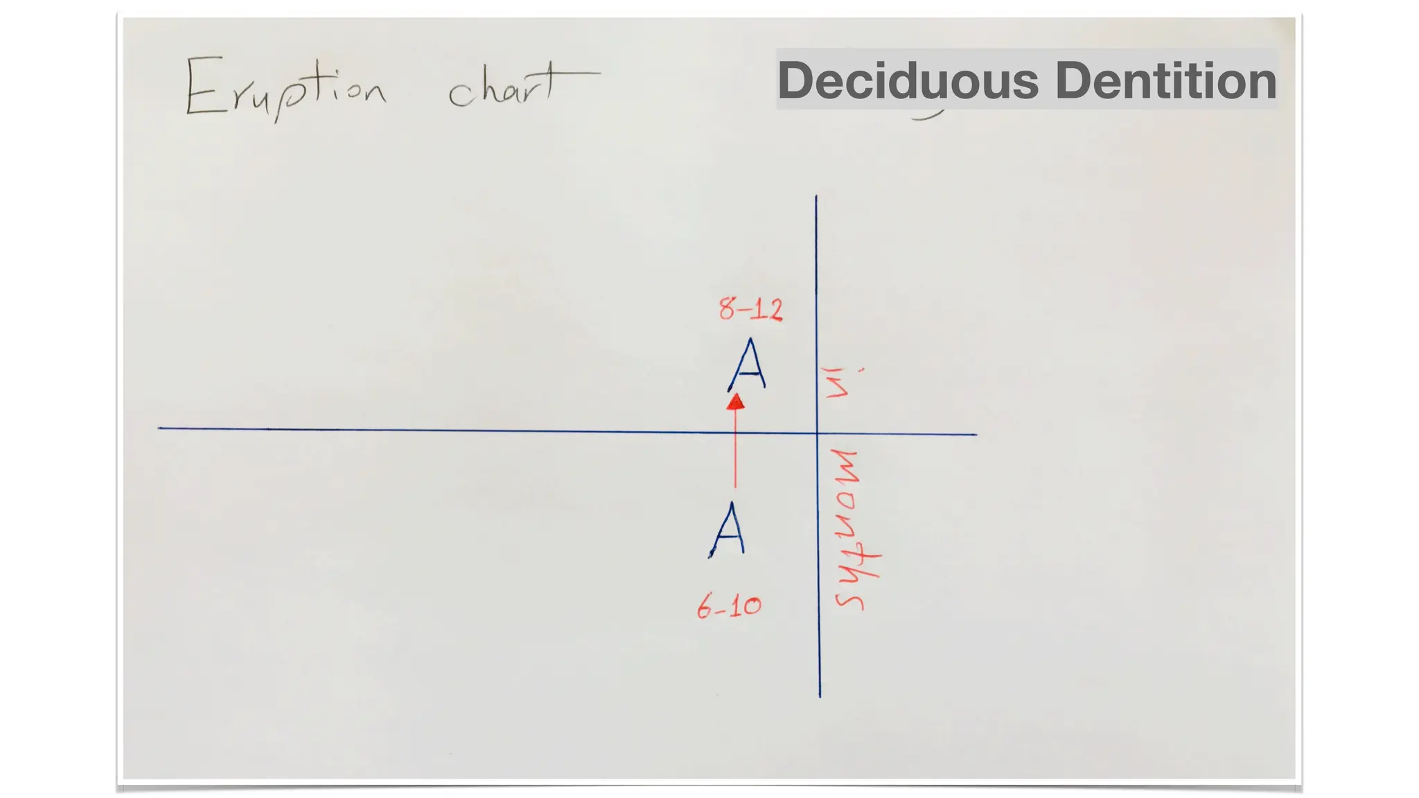 Lab.8. A. Eruption Chart Deciduous.pdf