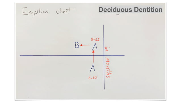 Lab.8. A. Eruption Chart Deciduous.pdf