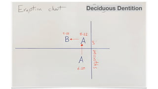 Lab.8. A. Eruption Chart Deciduous.pdf | Free Download