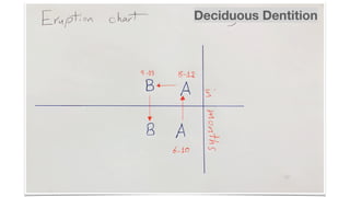 Lab.8. A. Eruption Chart Deciduous.pdf