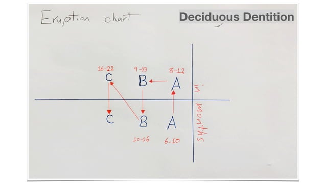 Lab.8. A. Eruption Chart Deciduous.pdf