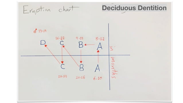 Lab.8. A. Eruption Chart Deciduous.pdf