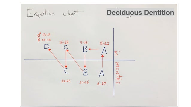 Lab.8. A. Eruption Chart Deciduous.pdf