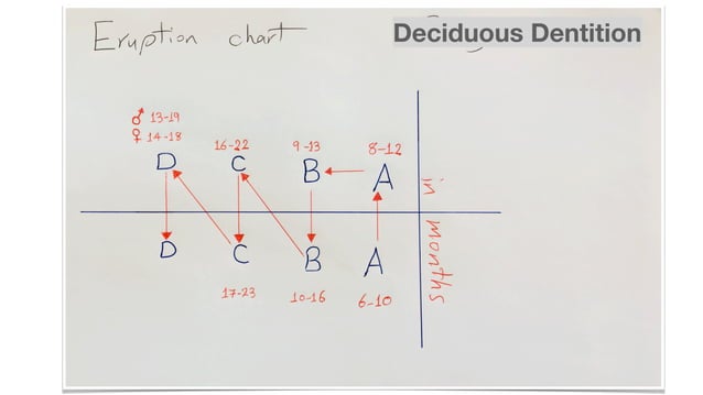 Lab.8. A. Eruption Chart Deciduous.pdf