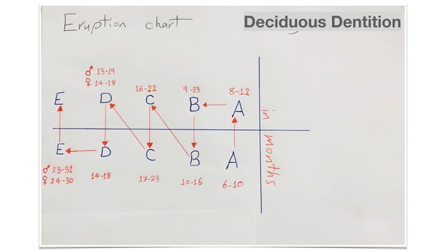 Lab.8. A. Eruption Chart Deciduous.pdf