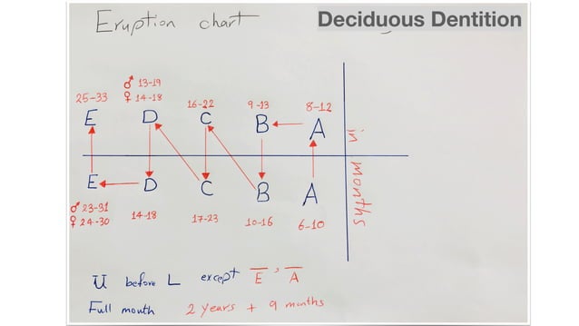 Lab.8. A. Eruption Chart Deciduous.pdf
