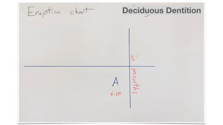 Lab.8. A. Eruption Chart Deciduous.pdf