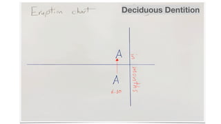 Lab.8. A. Eruption Chart Deciduous.pdf