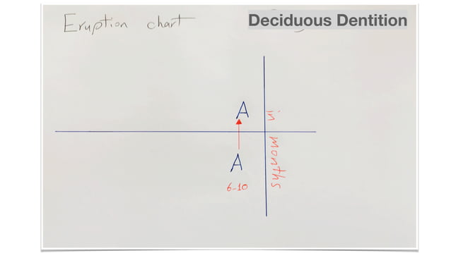 Lab.8. A. Eruption Chart Deciduous.pdf