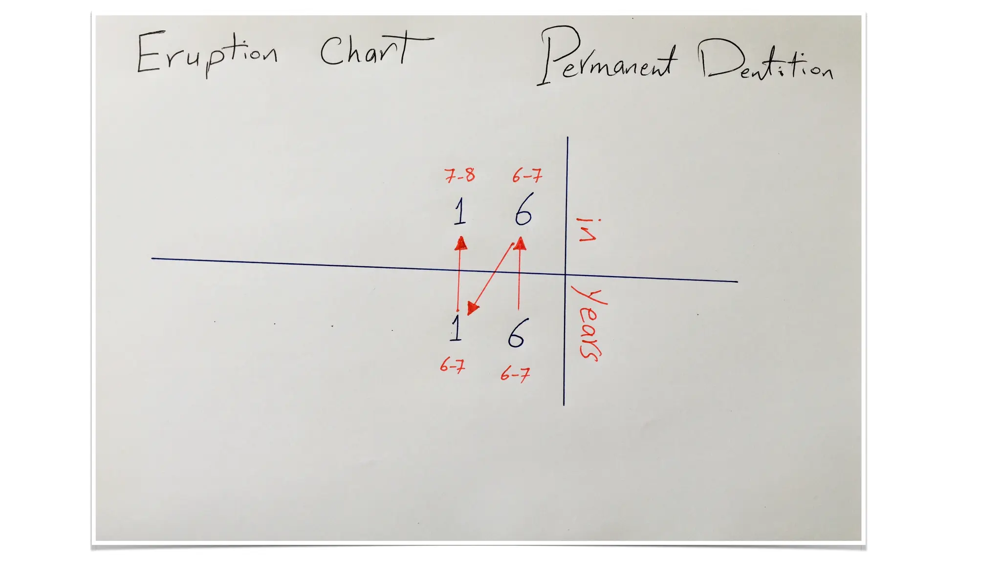 Lab.8. B. Eruption Chart Permanent.pdf | Dental Health | Diseases and ...