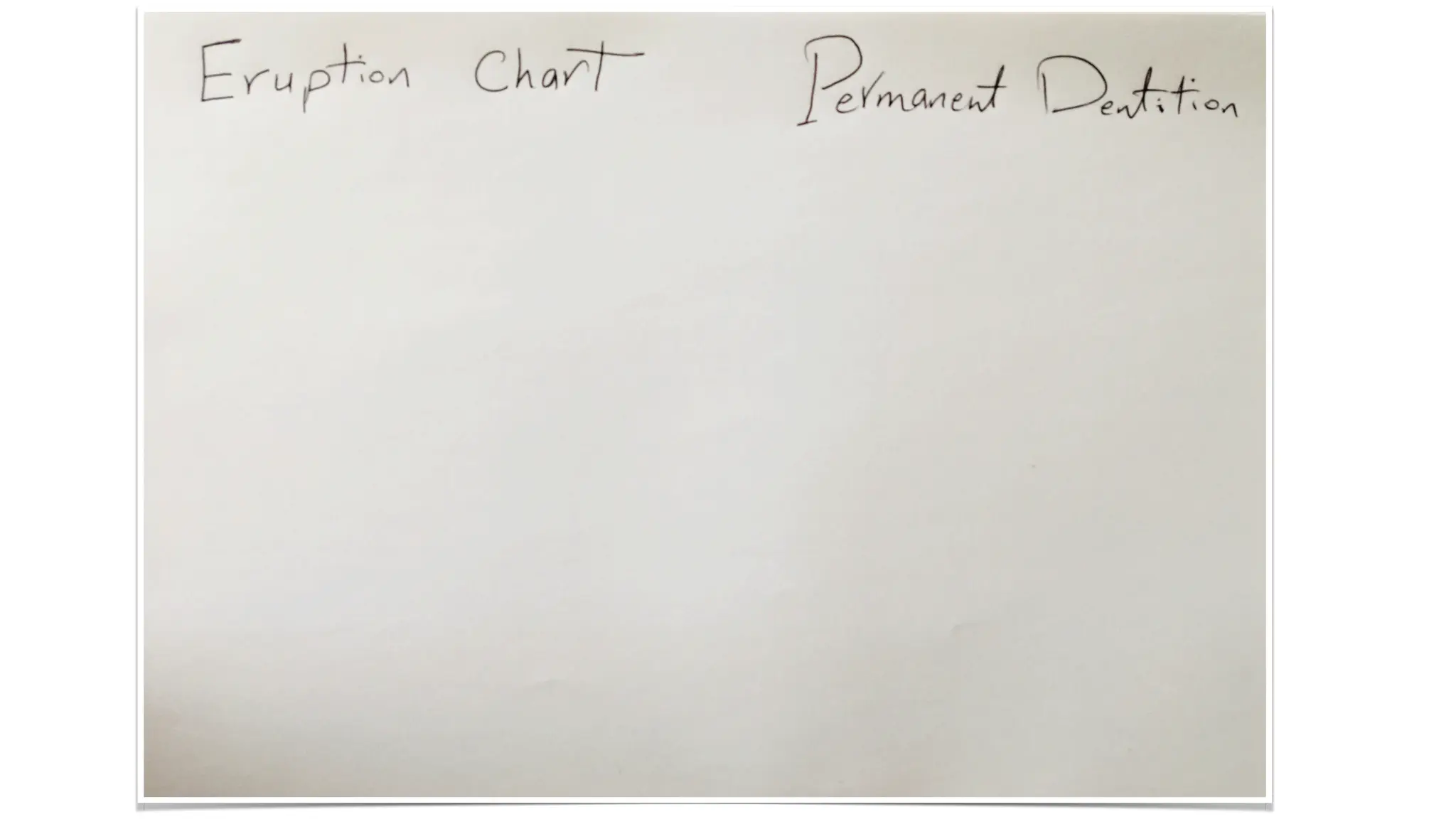 Lab.8. B. Eruption Chart Permanent.pdf | Dental Health | Diseases and ...
