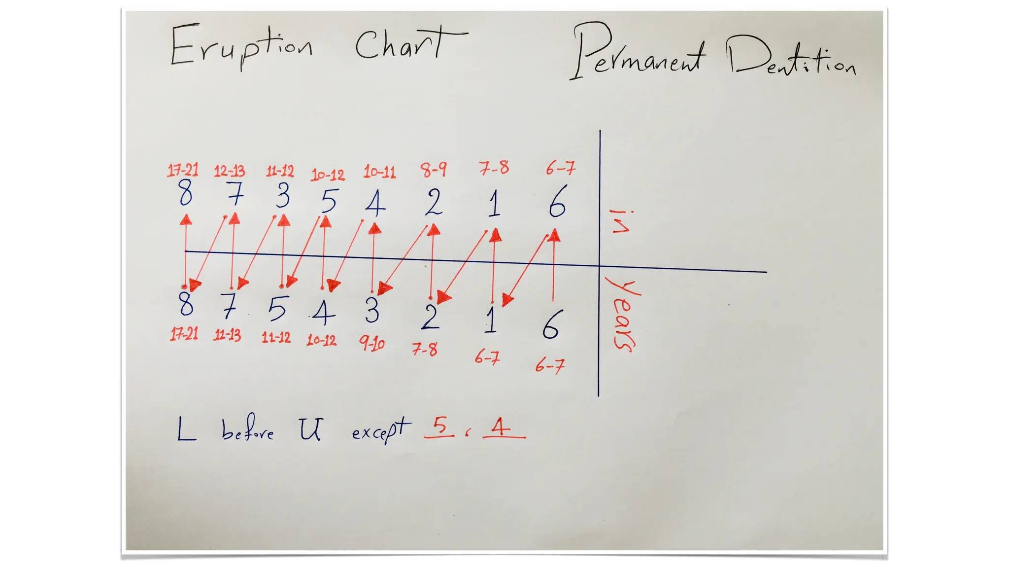 Lab.8. B. Eruption Chart Permanent.pdf | Dental Health | Diseases and ...